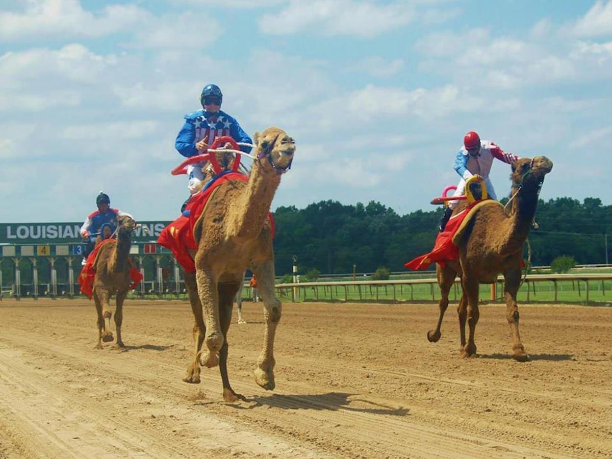 Celebrate Summer With These Bossier Events in July | Be Bossier