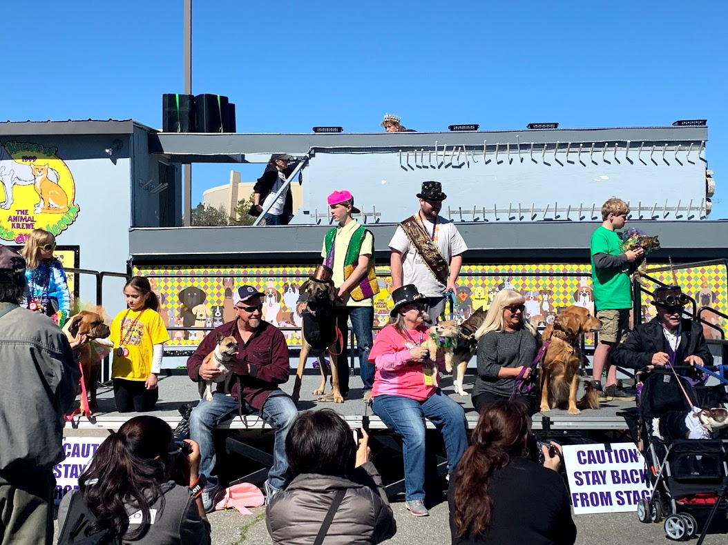 Krewe of Barkus and Meoux Celebrates Their 20th Parade | Be Bossier